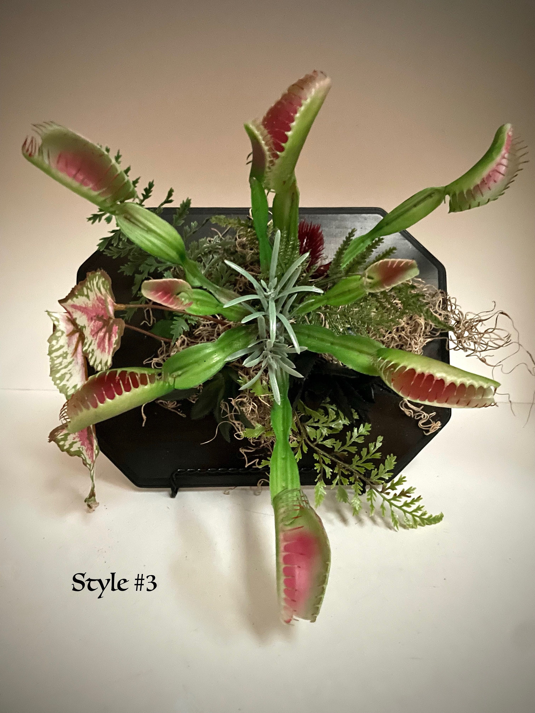 Carnivorous Plant Wall Art / Dark Forest / Halloween Decor/ Venus Fly ...