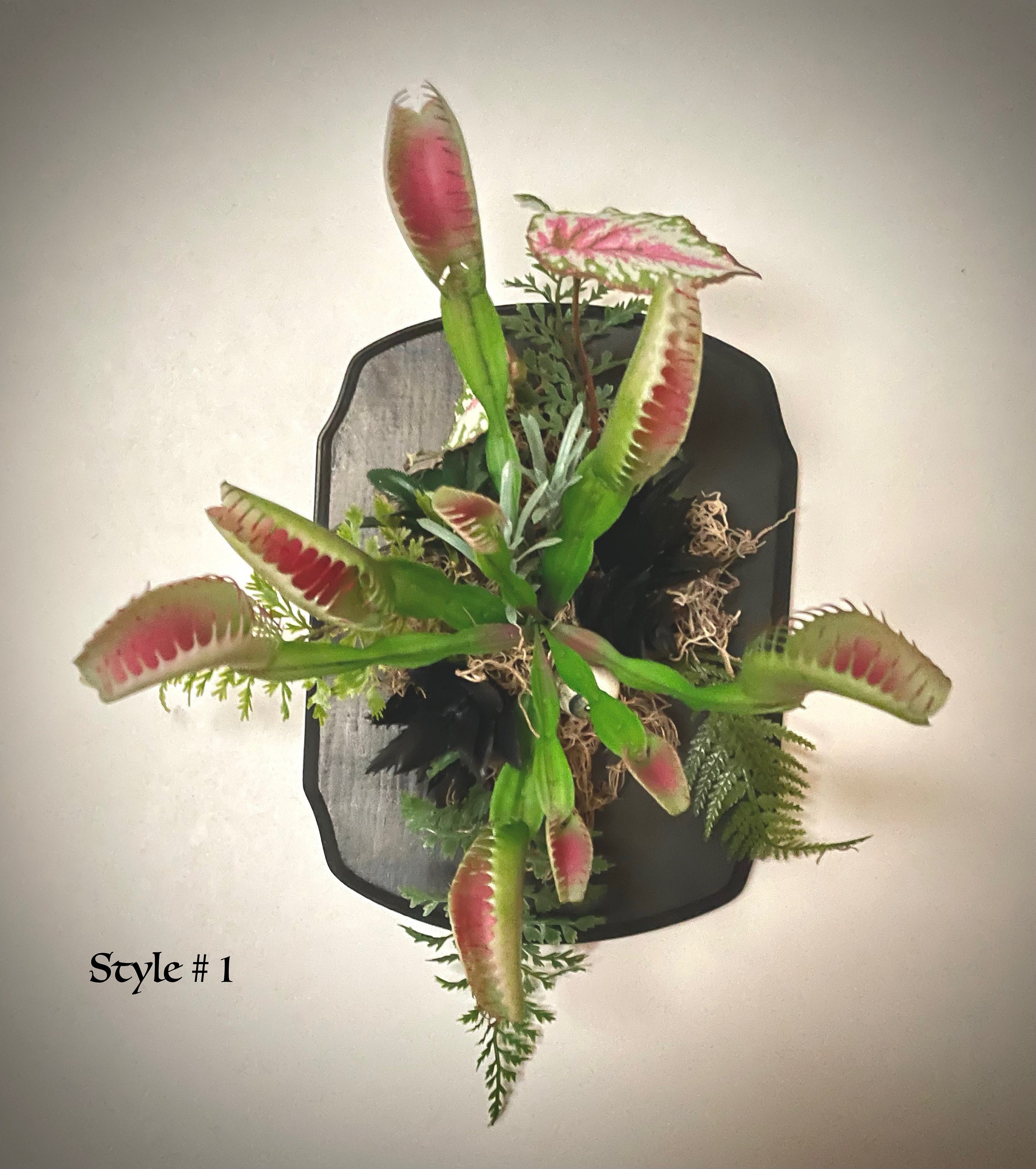 Carnivorous Plant Wall Art / Dark Forest / Halloween Decor/ Venus Fly ...