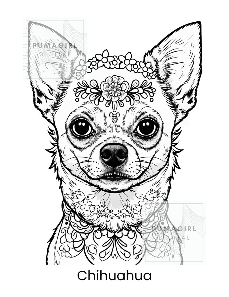 25 Sugar Skull Dog Breeds Coloring Pages Digital Download Printable ...