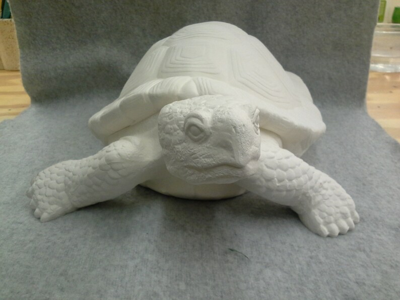 Ceramic Turtle Bisque unfinished | Etsy