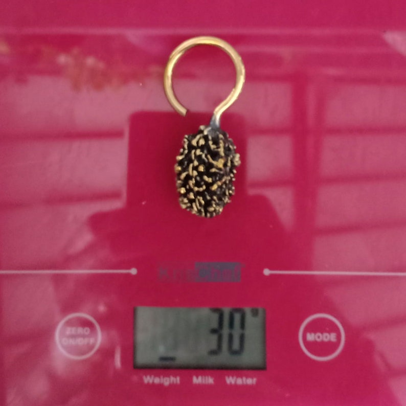 Brass Ear Weights Stretched Ears Hanging Weights Body - Etsy