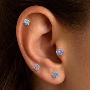 Titanium Natural Australian Opal Studs Earrings • Conch • Tragus ...