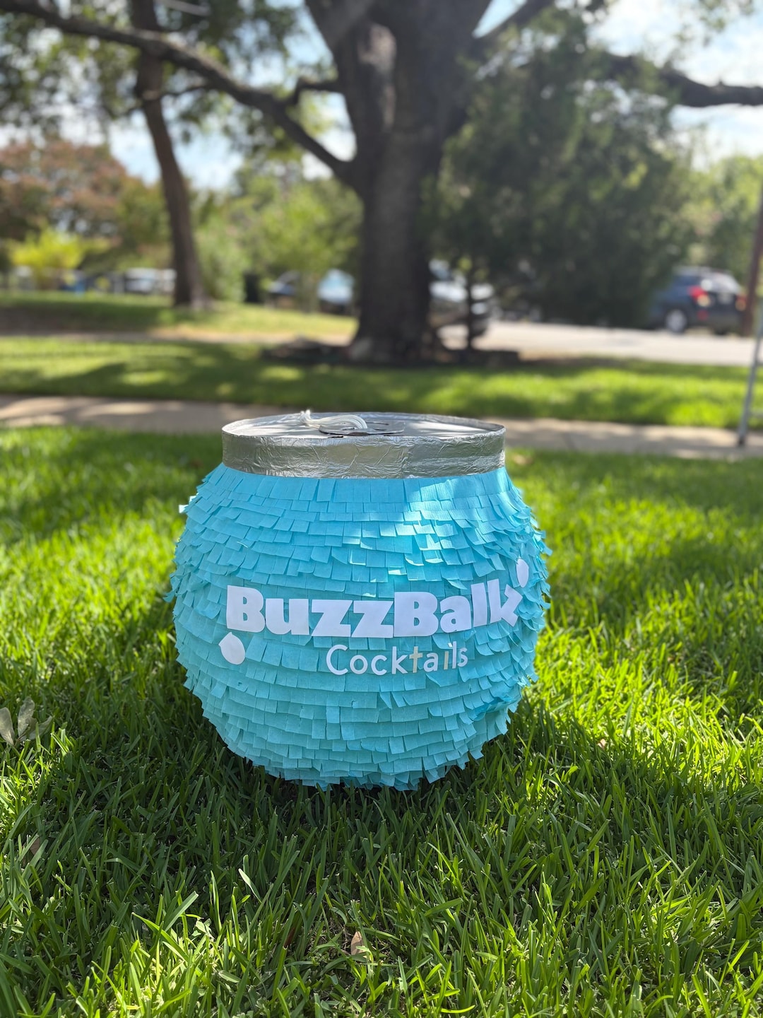 Buzzball Inspired Piñatas, Custom Piñata, Adult Pinata - Etsy