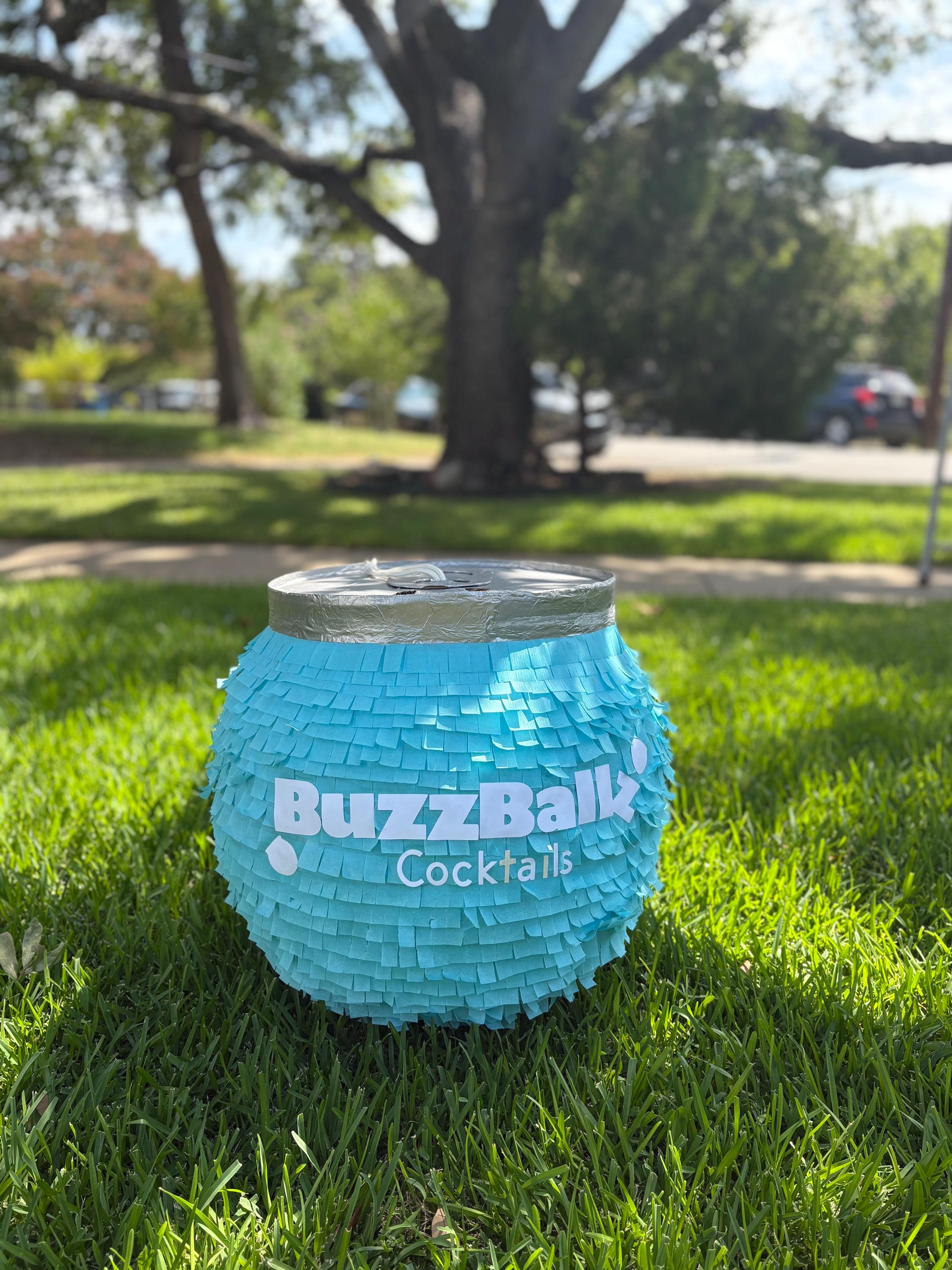 Buzzball Inspired Piñatas, Custom Piñata, Adult Pinata - Etsy