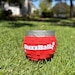 Mini Buzzball Piñatas, Custom Mini Piñata, Adult Pinata - Etsy