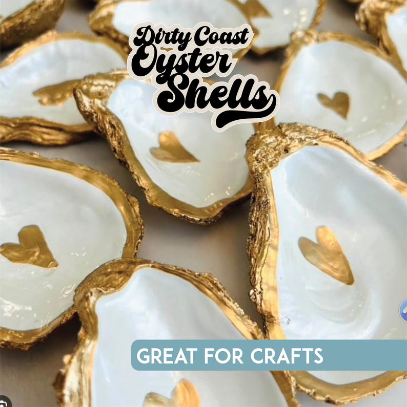 Gulf Coast Oyster Shells for Crafts: Sun-bleached Cups or Flats (2-3 ...