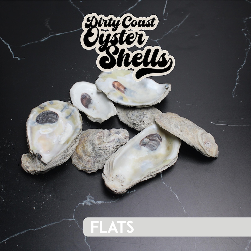 Oyster Ornament Lot - Etsy