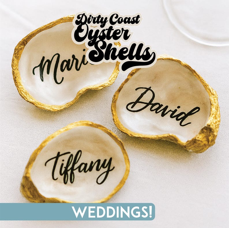 Gulf Coast Oyster Shells for Crafts: Sun-bleached Cups or Flats (2-3 ...