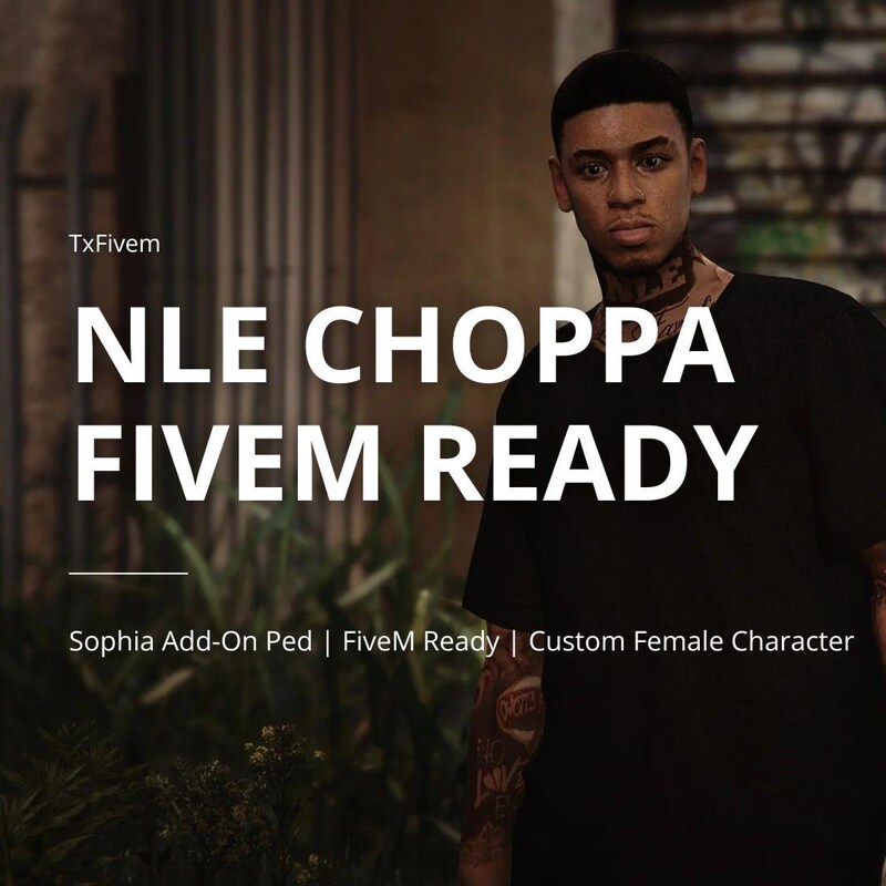 Custom Peds Fivem - Etsy