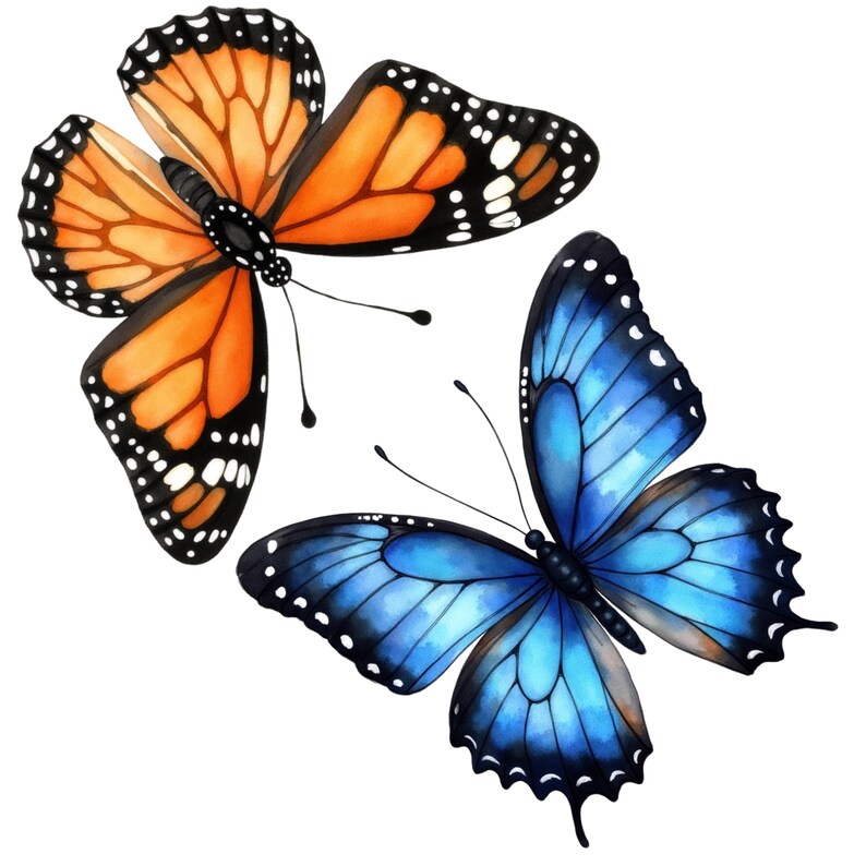 18 Colorful Butterfly Clip Art Set | 18 PNG & JPEG Images | Instant ...