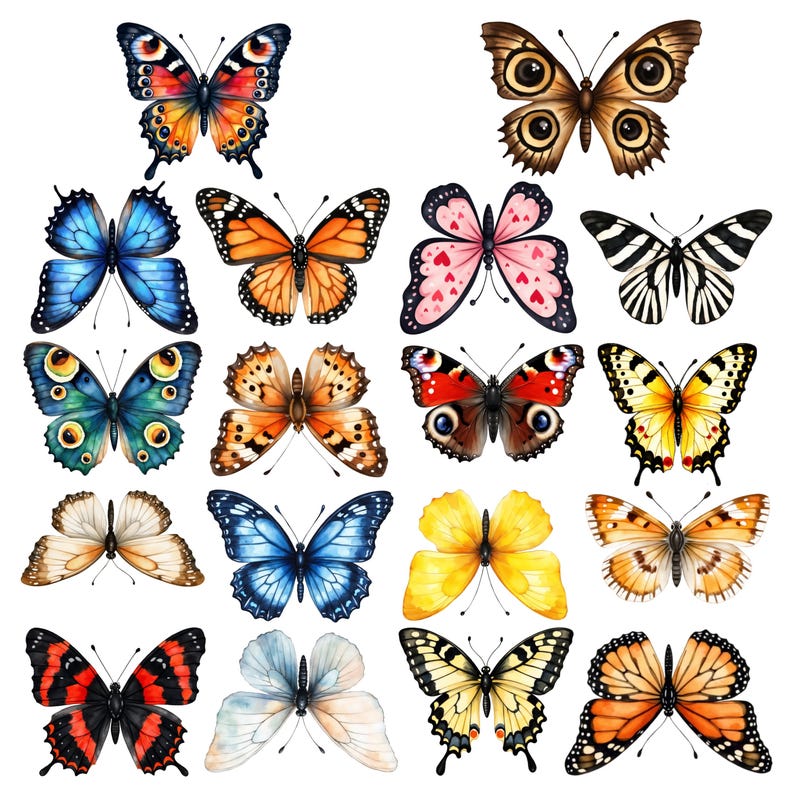 18 Colorful Butterfly Clip Art Set | 18 PNG & JPEG Images | Instant ...