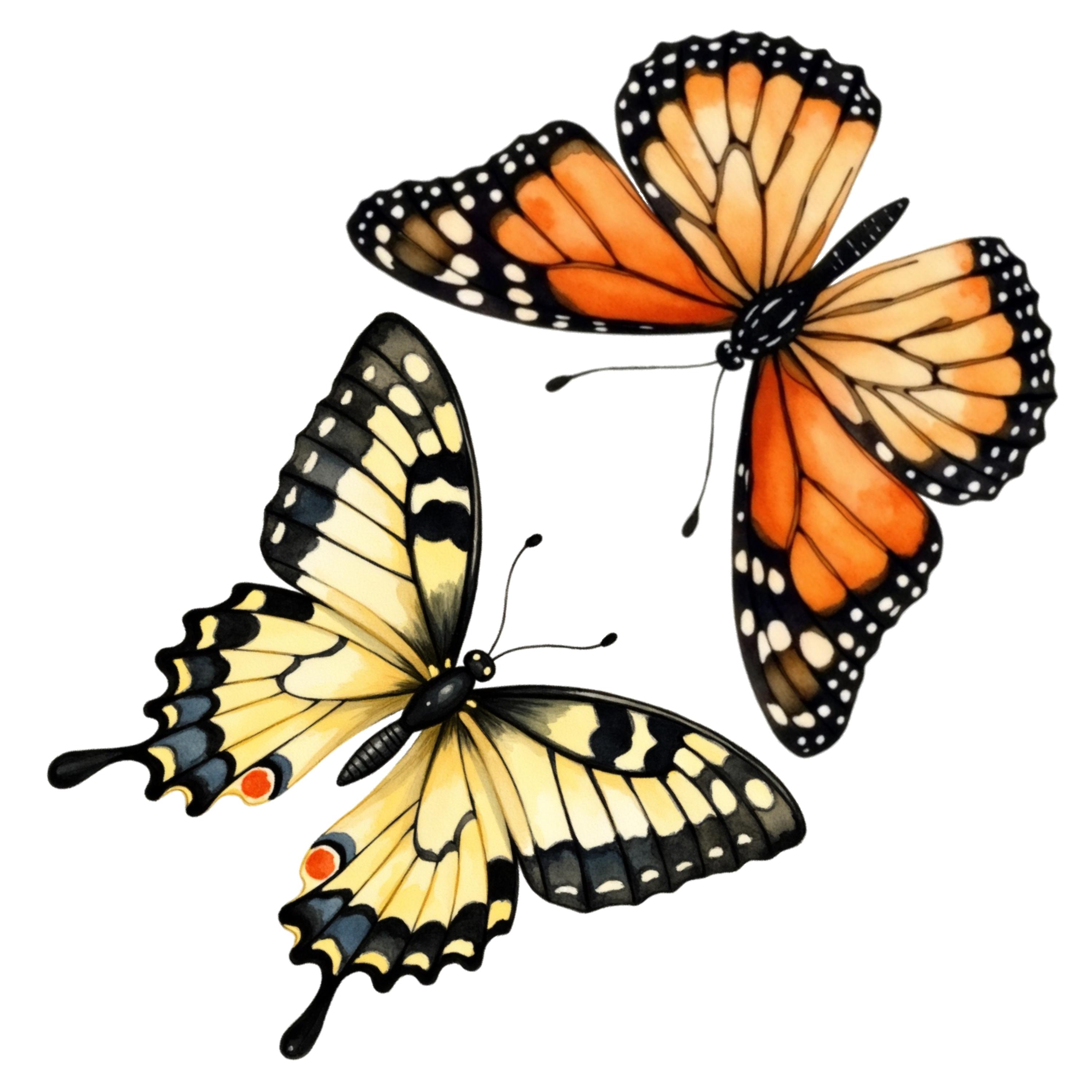 18 Colorful Butterfly Clip Art Set | 18 PNG & JPEG Images | Instant ...