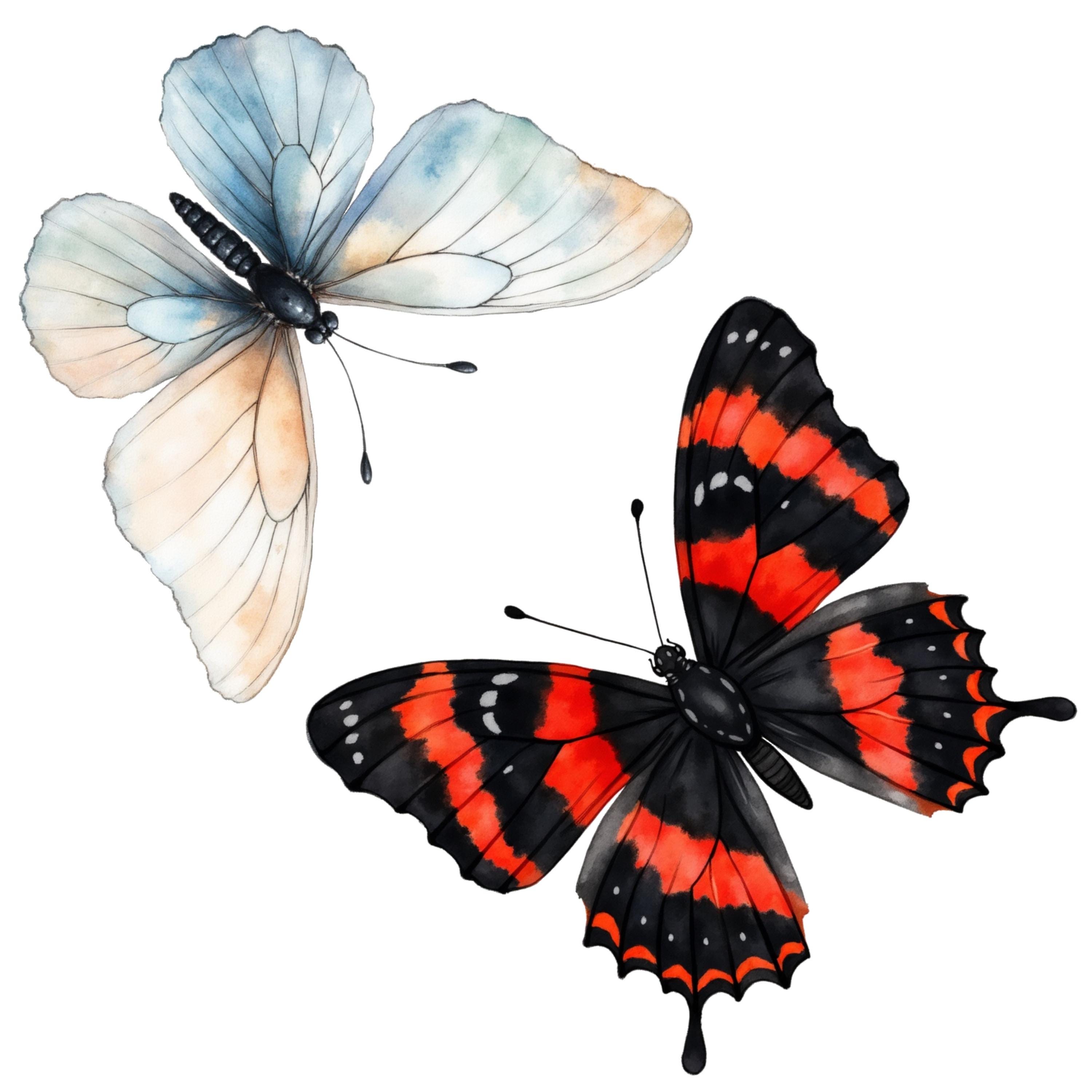 18 Colorful Butterfly Clip Art Set | 18 PNG & JPEG Images | Instant ...
