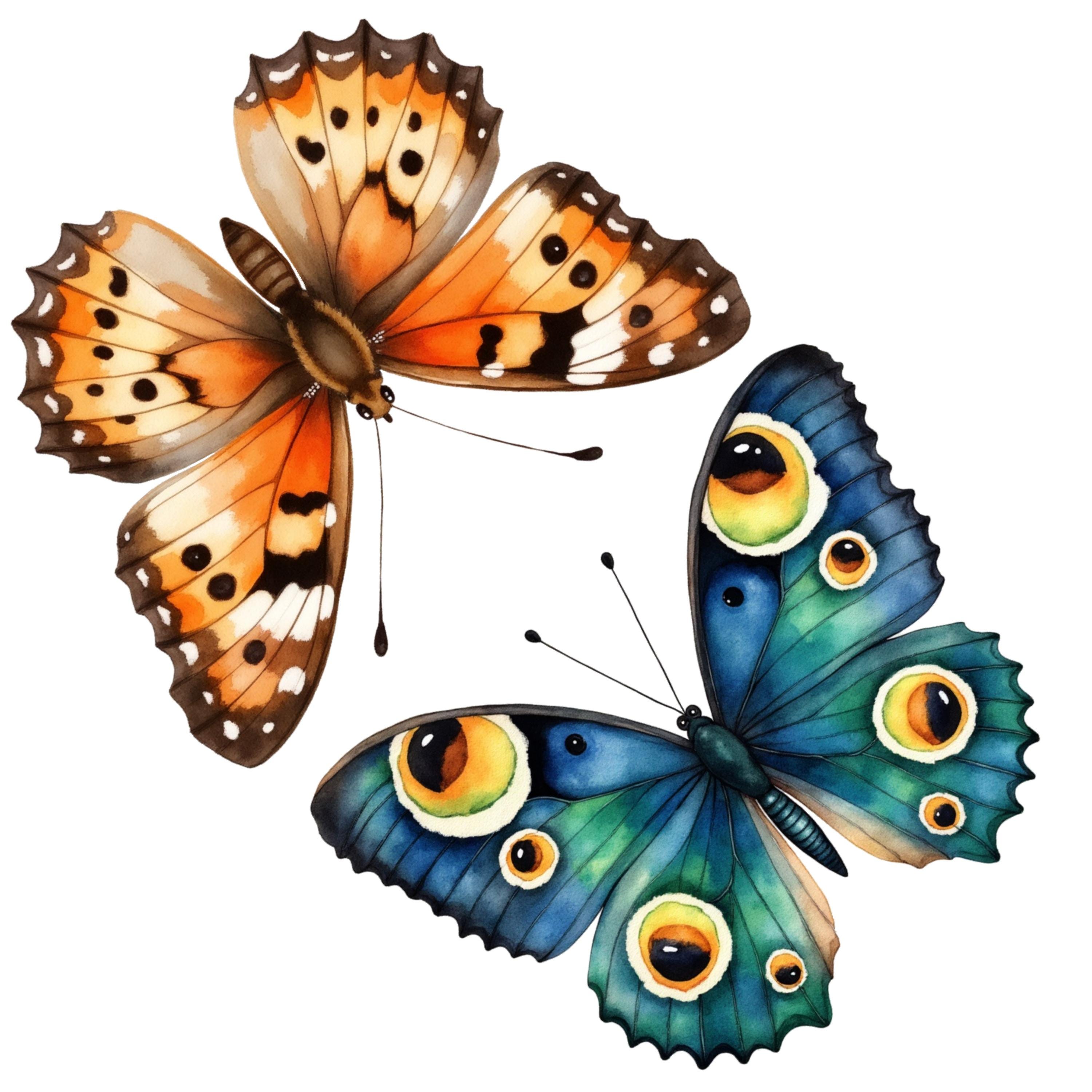 18 Colorful Butterfly Clip Art Set | 18 PNG & JPEG Images | Instant ...