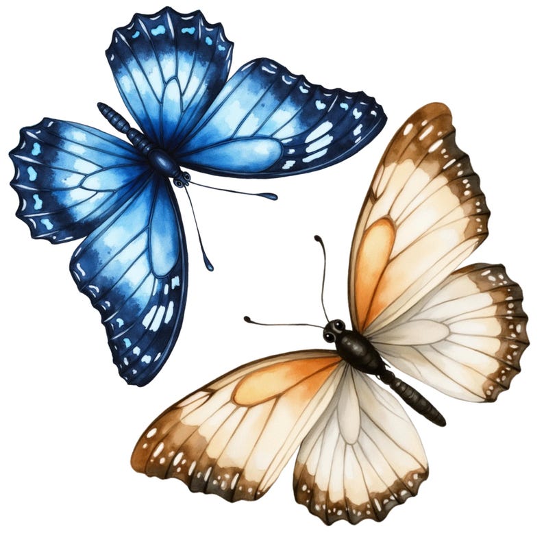 18 Colorful Butterfly Clip Art Set | 18 PNG & JPEG Images | Instant ...