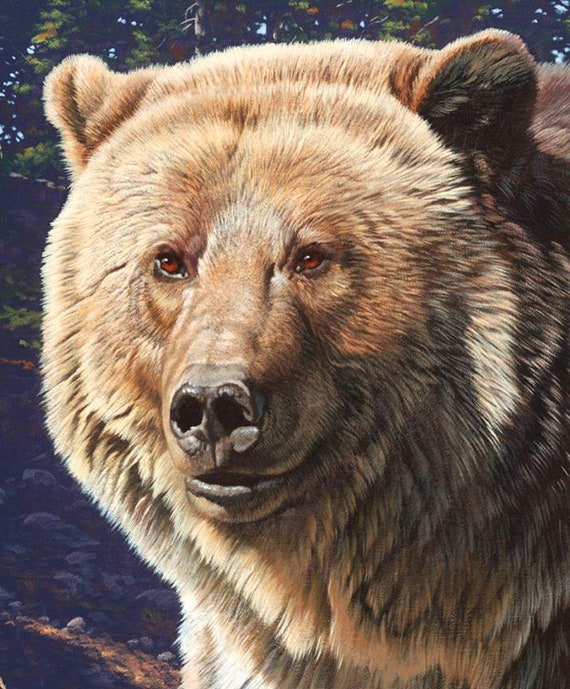 Riley Blake Wild & Beautiful Panel Bear | Etsy