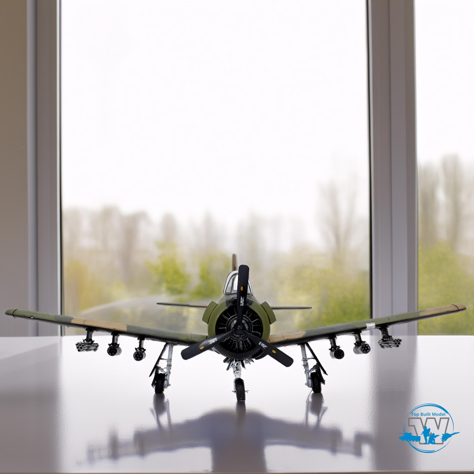 Pre-order, T-28D Trojan USAF Vietnam War Model 1:48 Roden – Built and ...