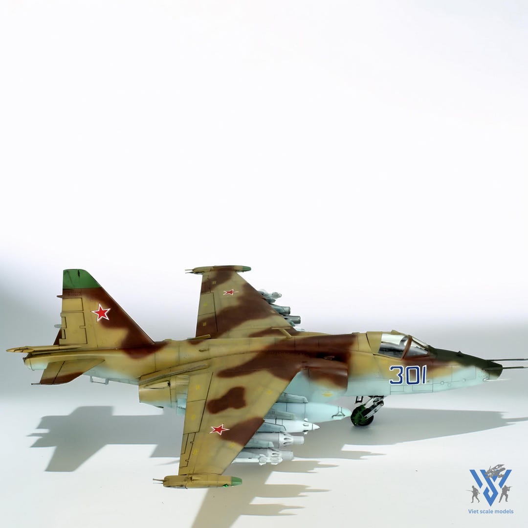 Russian Su-25 Frogfoot Model 1:48 – Zvezda Built & Painted Aircraft Kit ...