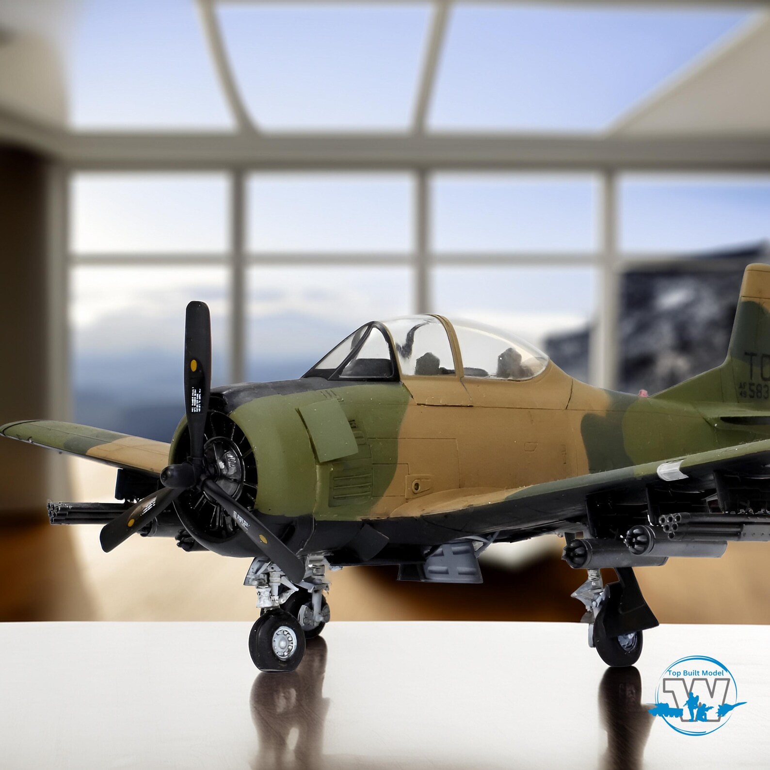 Pre-order, T-28D Trojan USAF Vietnam War Model 1:48 Roden – Built and ...