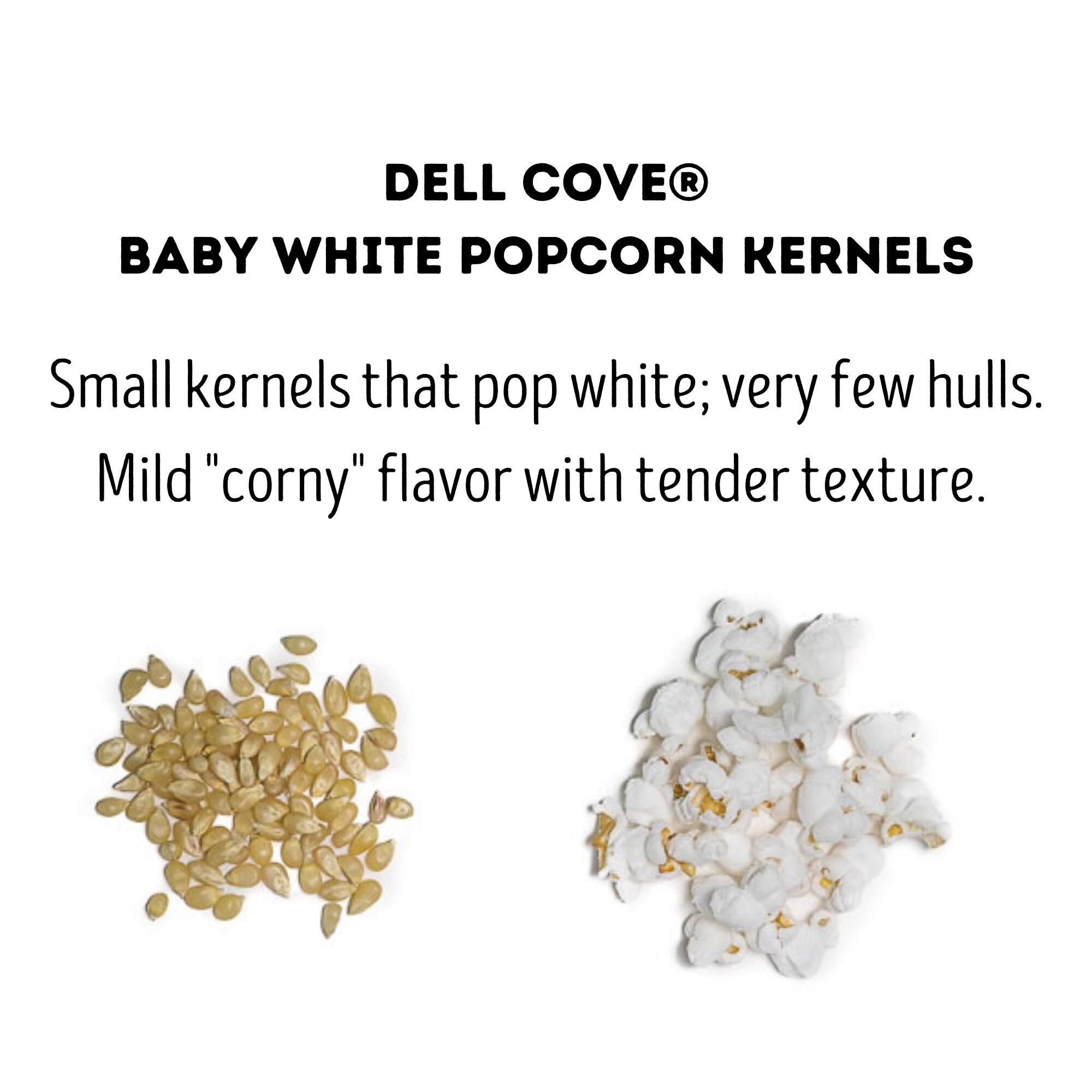 Baby White Popcorn Kernels Gourmet Popcorn in Bulk Hull less Popcorn Tiny White No Hull Popcorn Kernels Etsy UK