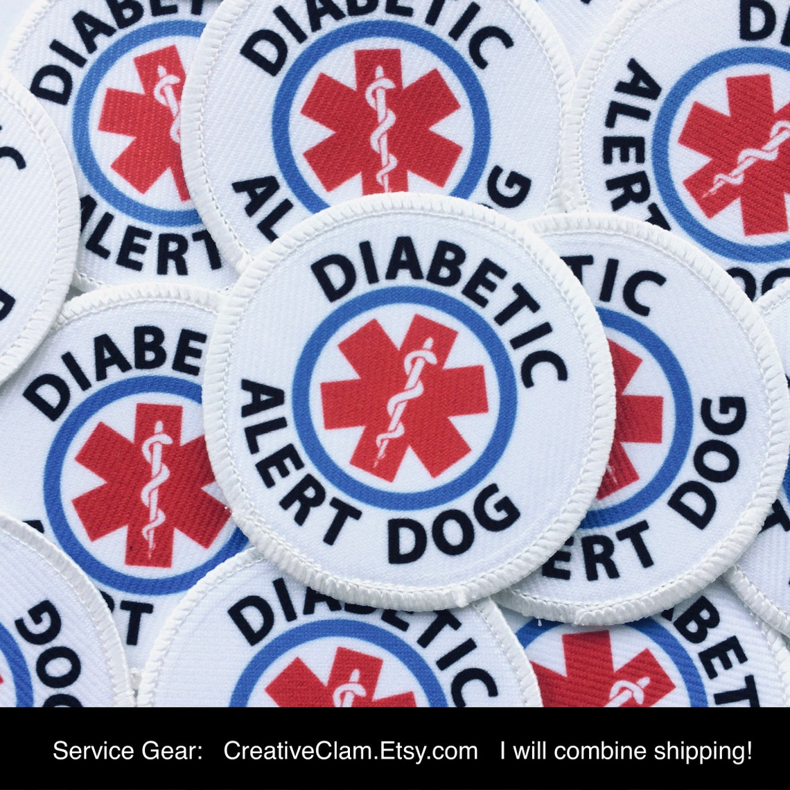 Diabetic Diabetes Medical Alert Keychain Fob Charm Zipper Pull - Etsy