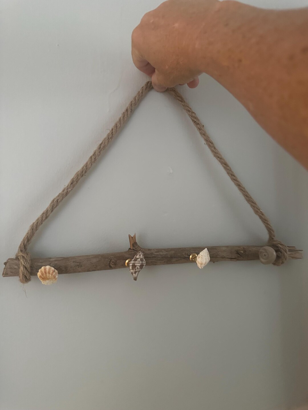 Seashell Bikini Hanger/ Jewelry Organizer/ Driftwood Organizer/ Palm ...