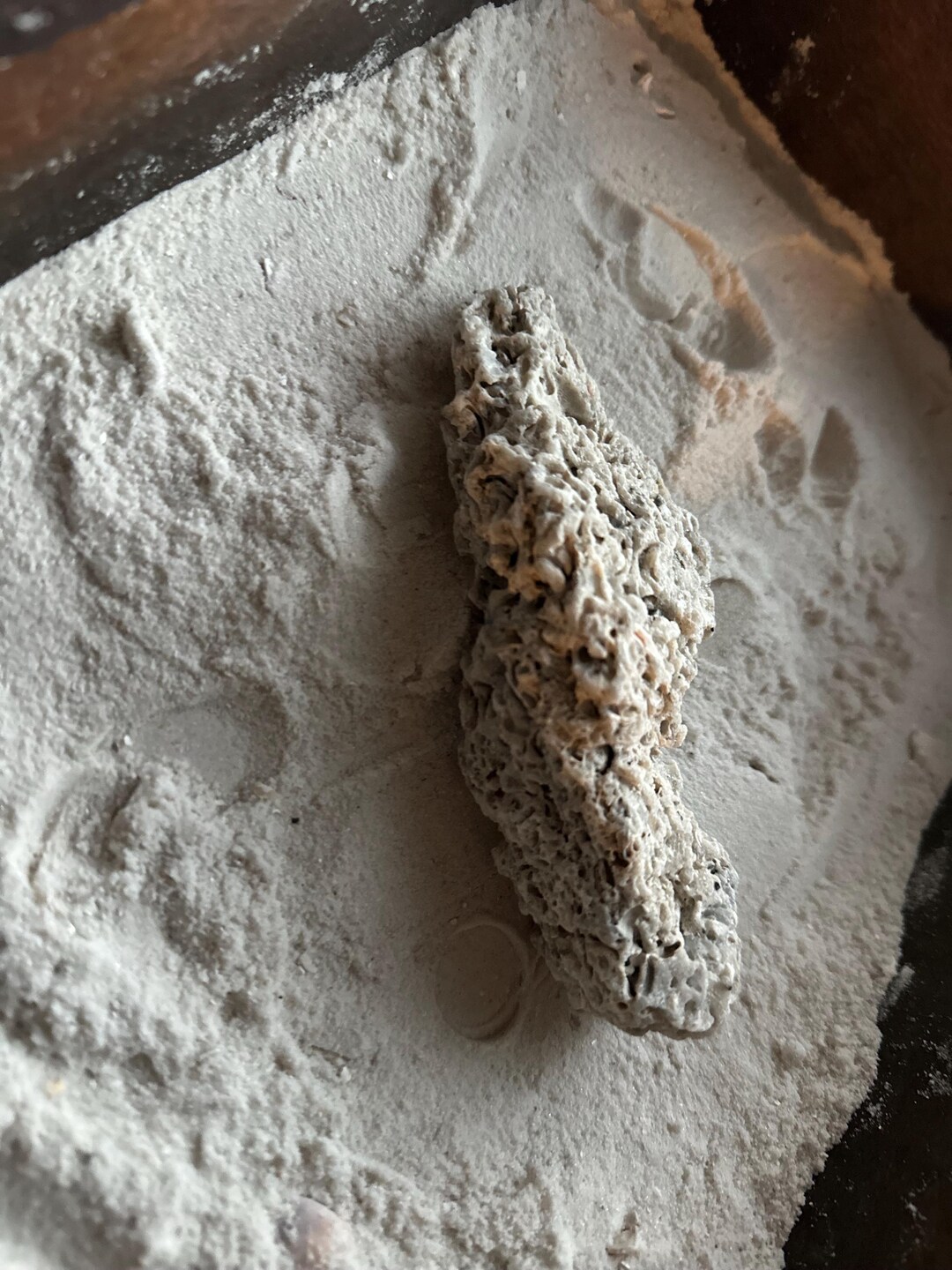 Natural Worm Rock Reef Specimen | Coastal Fossil Reef Stone | Beach ...