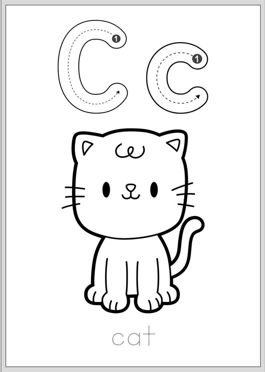 Animal Alphabet Tracing & Coloring Book - Etsy