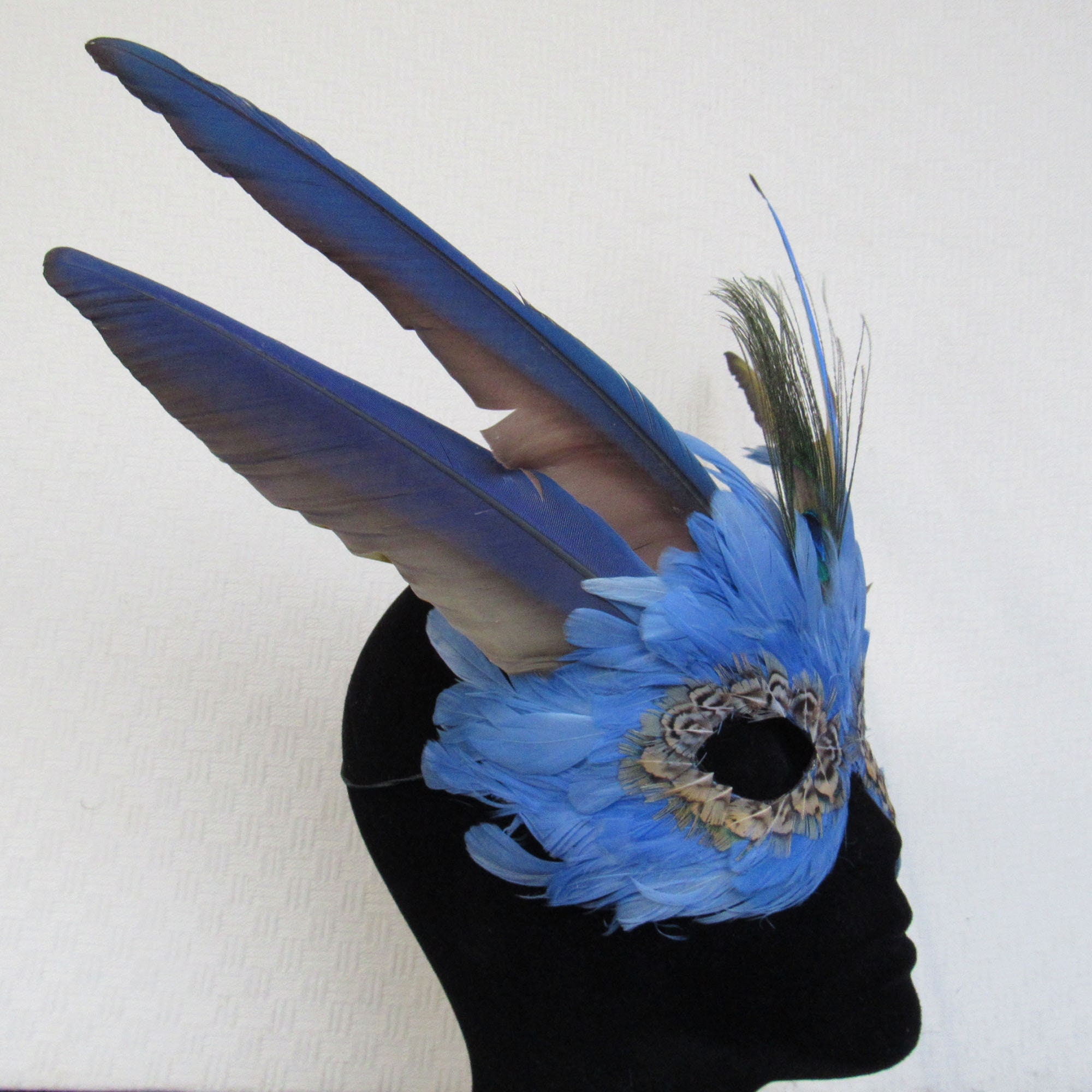 Blue Feather Mask With Macaw Wings and a Peacock Eye is a - Etsy