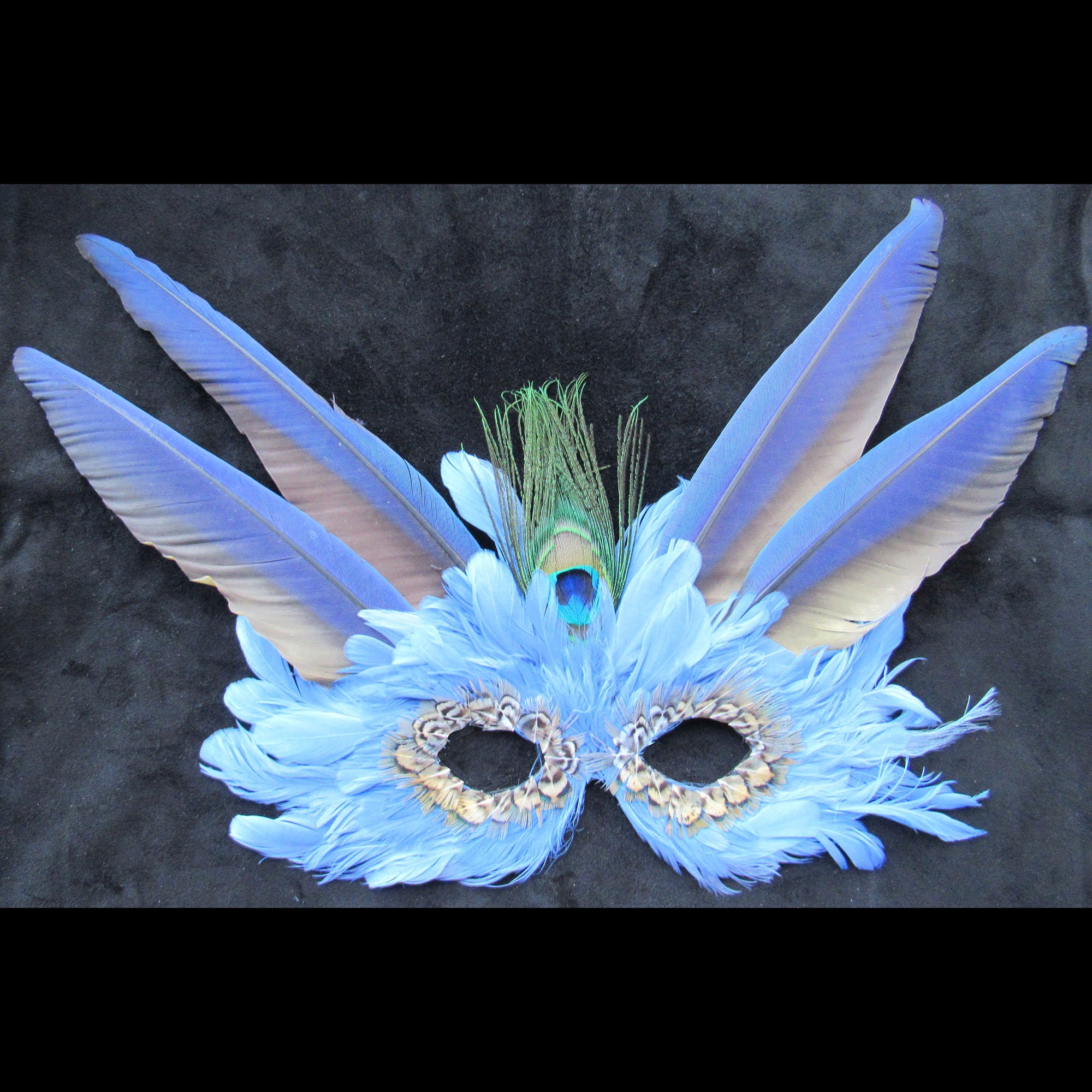 Blue Feather Mask With Macaw Wings and a Peacock Eye is a Colorful Way ...