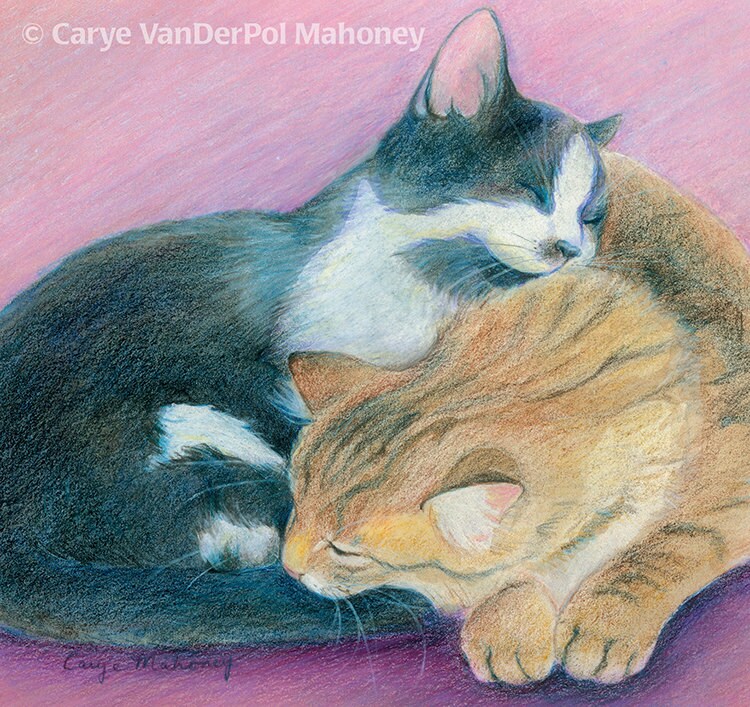 Two Cats Together Drawing