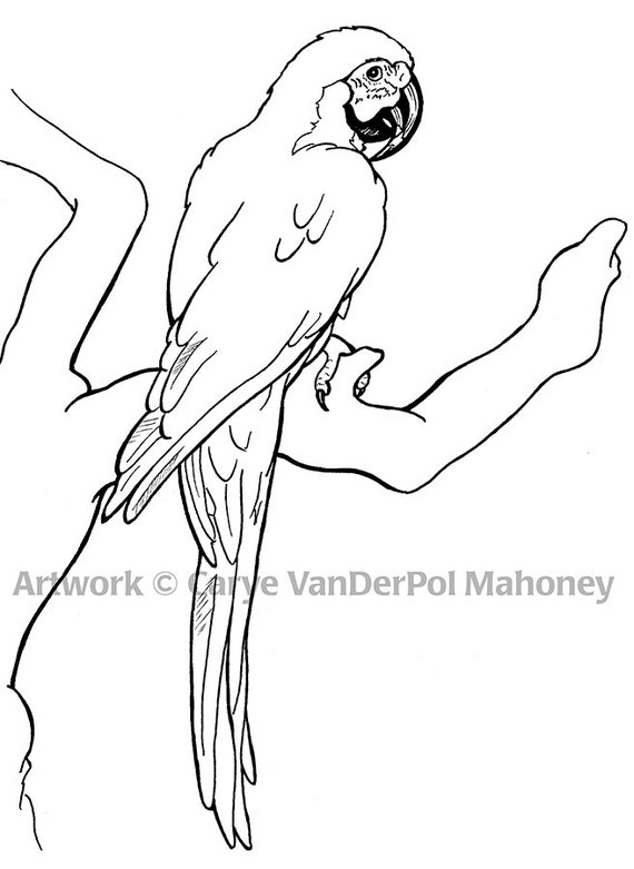 Blue Macaw Coloring Pages