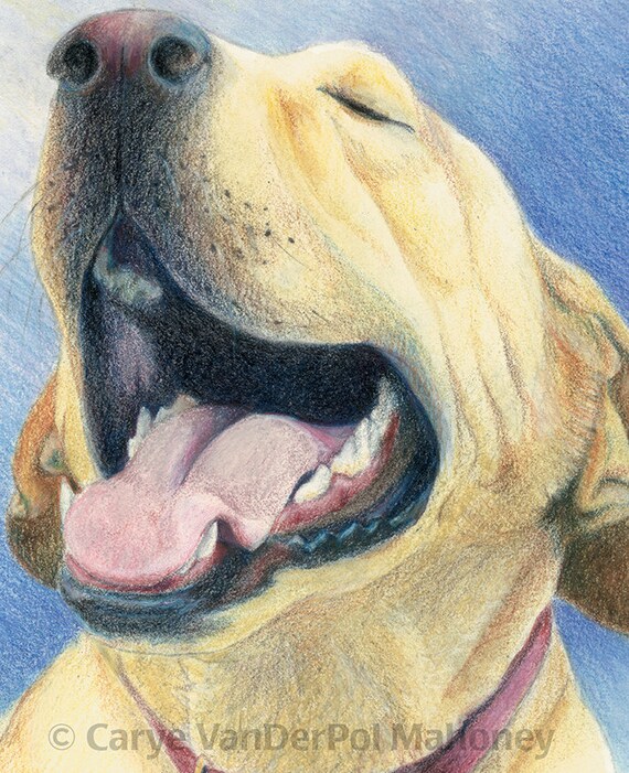 Is My Dog Smiling Or Panting