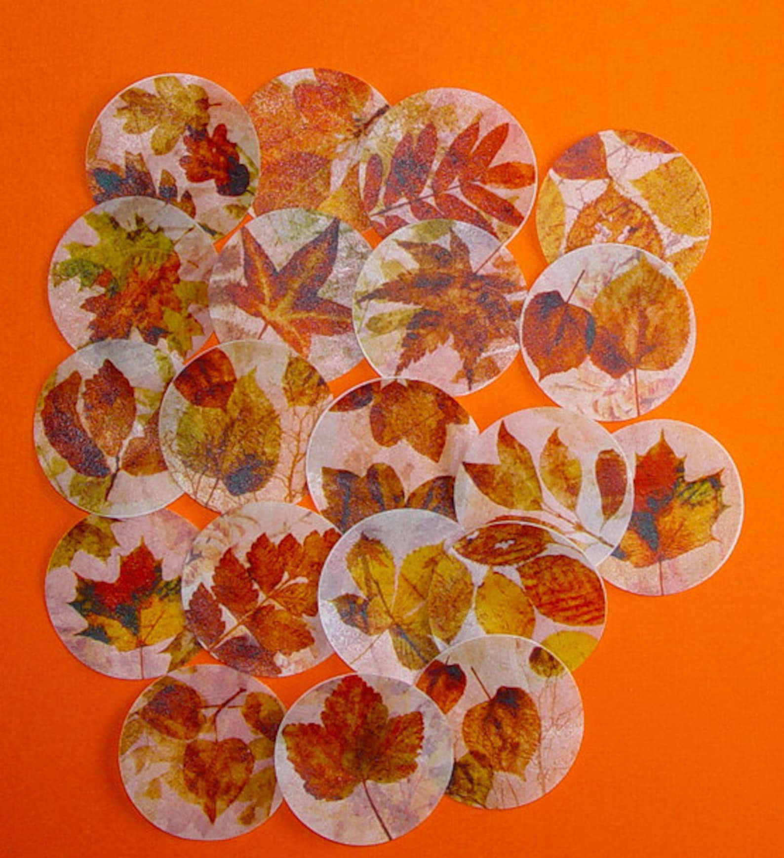 20 Autumn Leaves Wafer Paper Edible Images For Your Cookies Etsy 20-autumn-leaves-wafer-paper-edible-images-for-your-cookies-etsy
