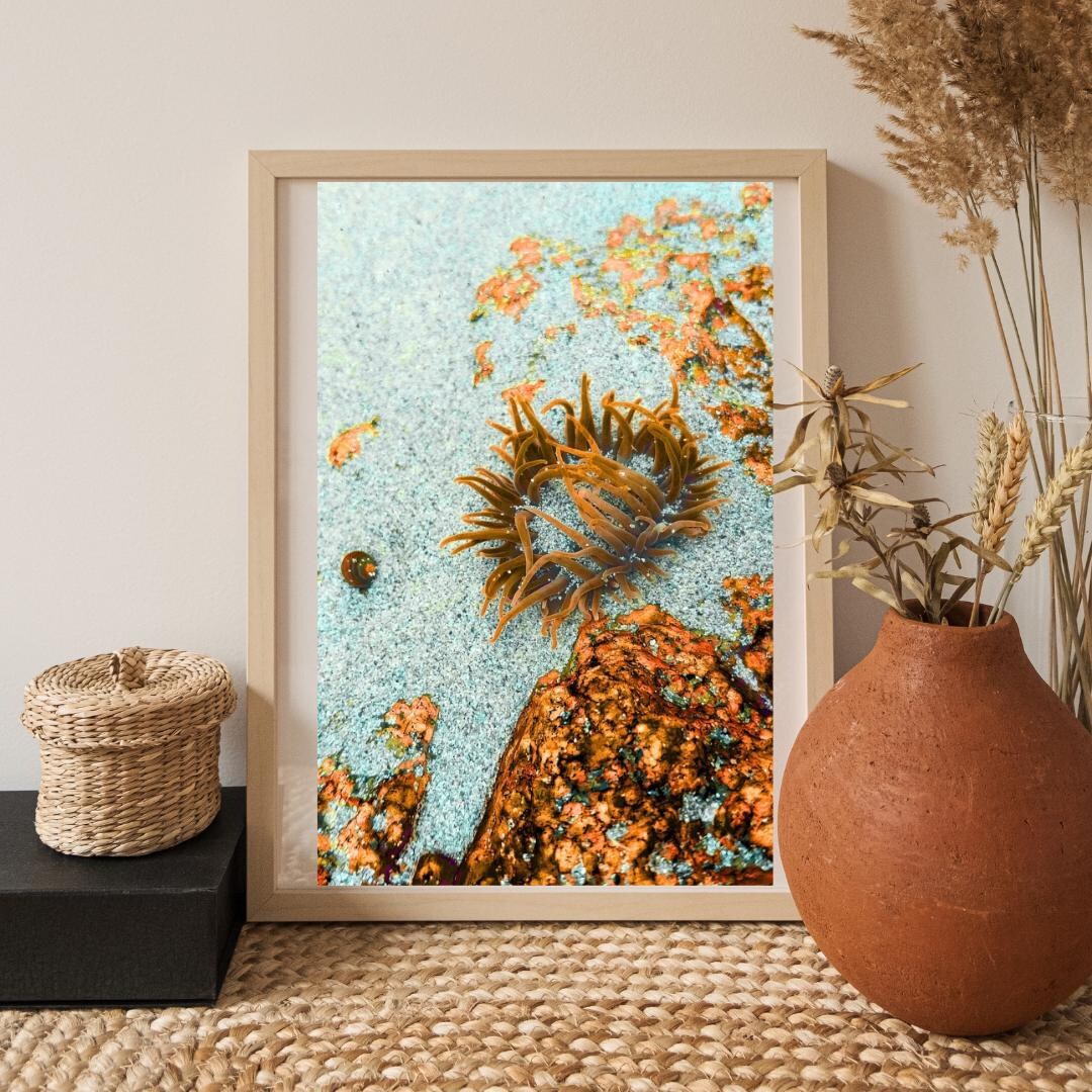 Atlantic Underwater Sea Anemone Art Home Decor - Original Art- Digital ...