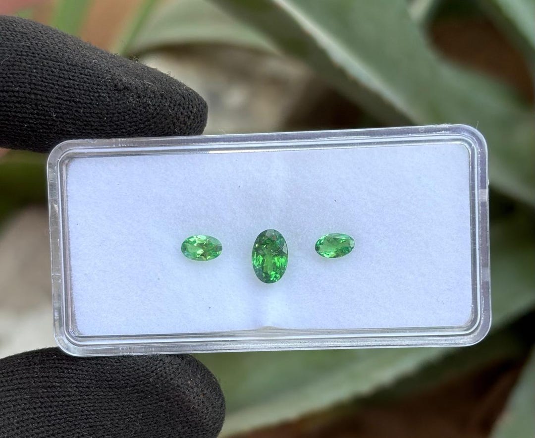 Natural Tsavorite Parrot Green Color 100% Genuine Tsavorite Garn ...