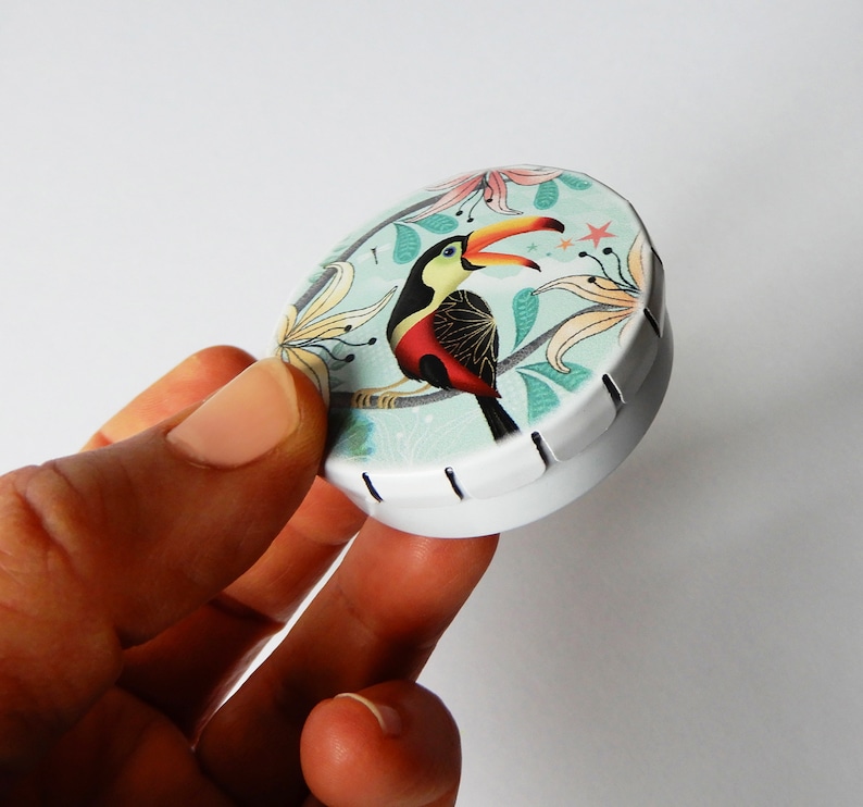 Metallic Click Clac Box Illustrated Toucan Pill Box Candy Ashtray ...