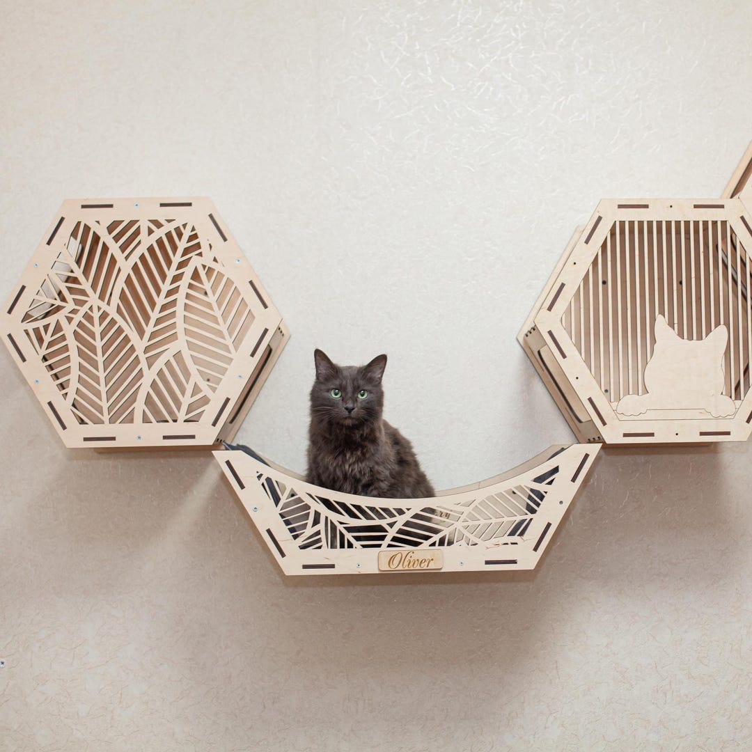 Modern Hexagon Cat Shelf: Birch Wood Wall Furniture With Velour Pillow ...