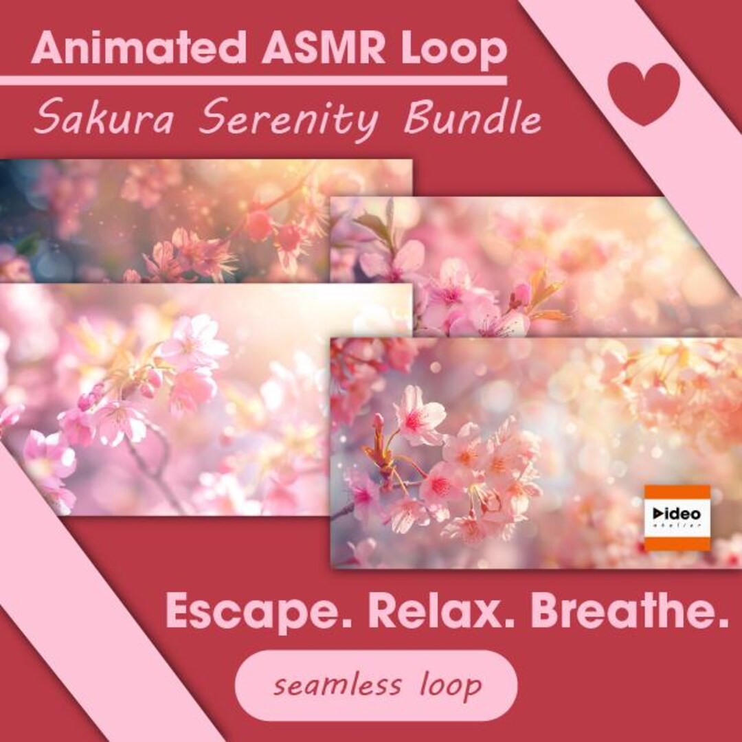 Animated Sakura ASMR Video Bundle: Relaxing Nature Loops (1080p Full HD ...