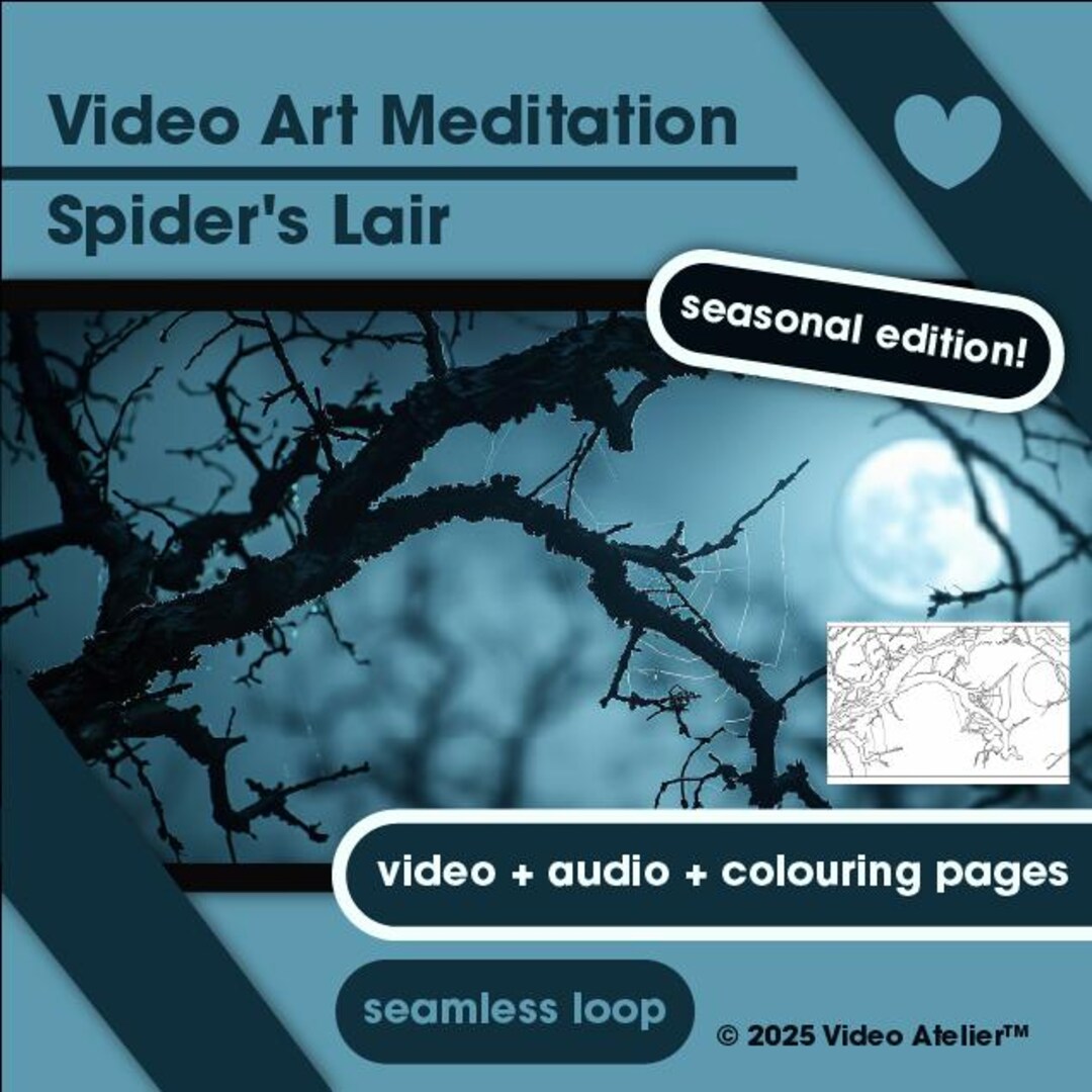 4K Spider's Lair Video Art: Meditation, Relaxation, Stress-relief ...