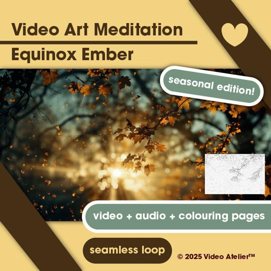 4K Forest Video Loop: Equinox Ember Meditation, Relaxation, ASMR ...