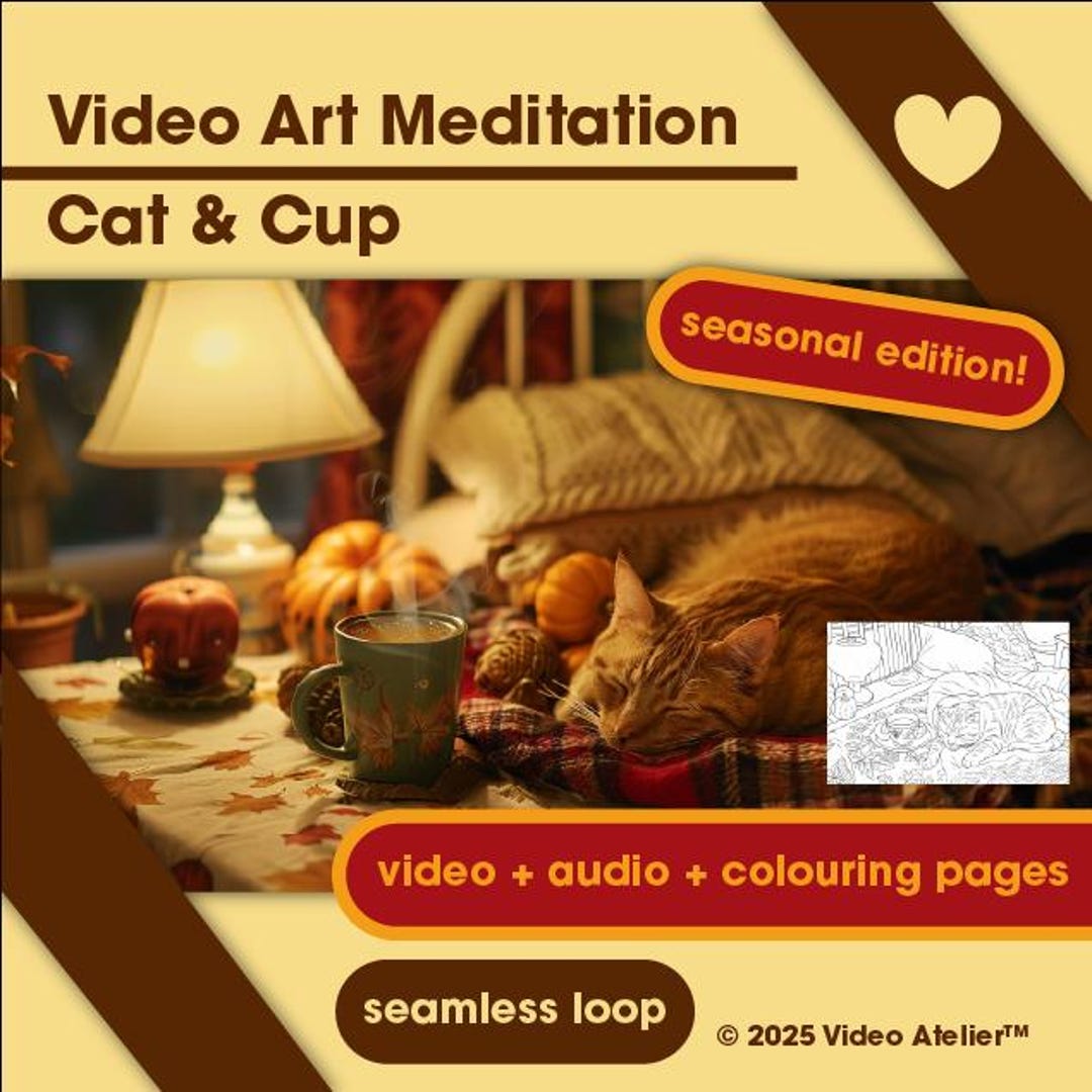 Cat and Pumpkin 4K Video Loop: Cozy Autumn Meditation (digital Download ...