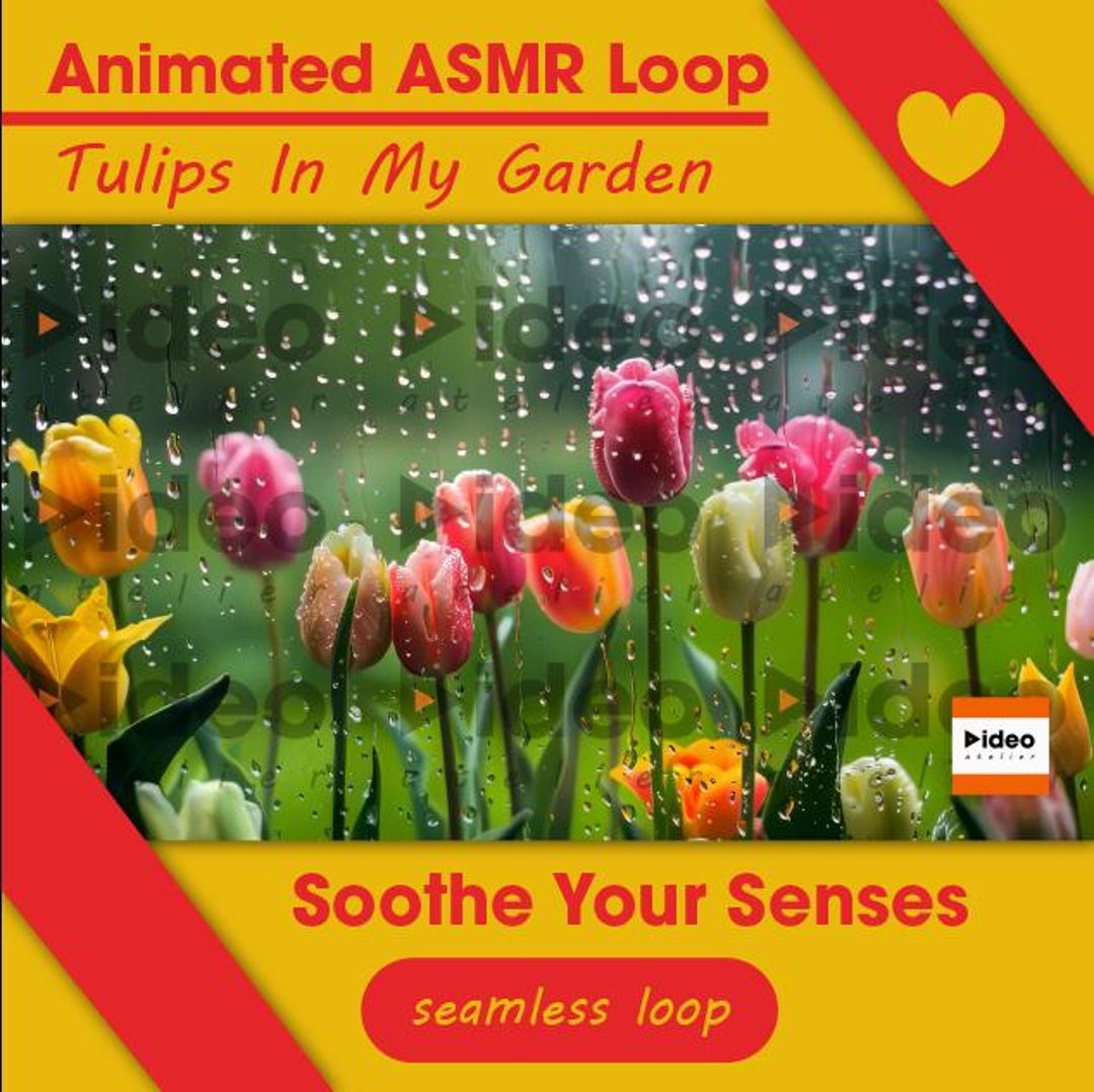 Animated Tulips ASMR Video Loop: Calming Visuals for Sleep & Focus ...