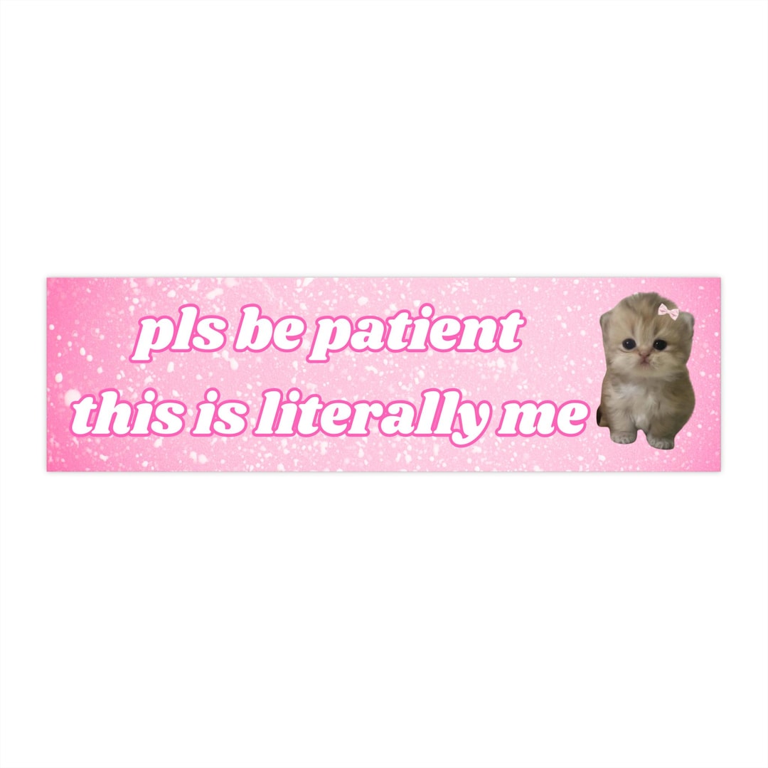 11" X 3" This is Literally Me Bumper Sticker, Funny Bumper Sticker ...