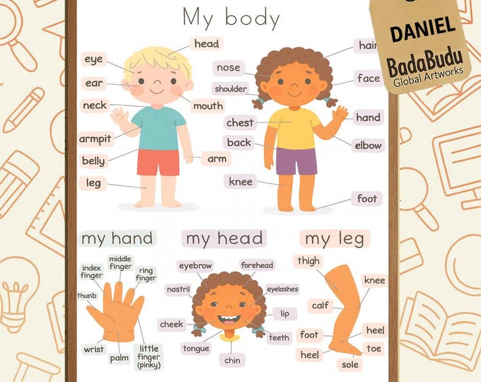 Body Parts Poster Montessori Homeschool Educational Posters for ...