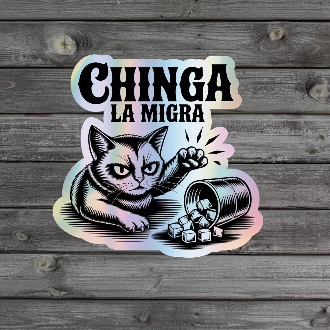 Pro Immigration Cat Sticker/car Magnet, Abolish ICE Sticker - Etsy