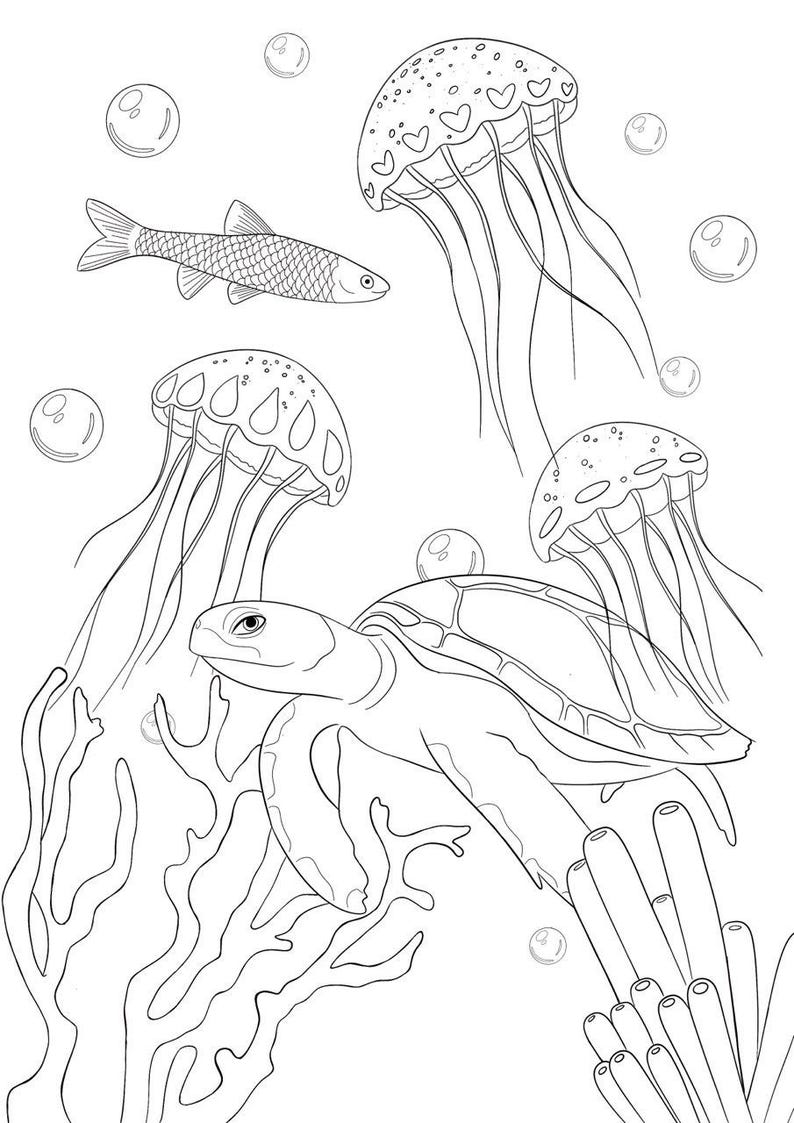 Coloring Pages With an Ocean Theme - Etsy