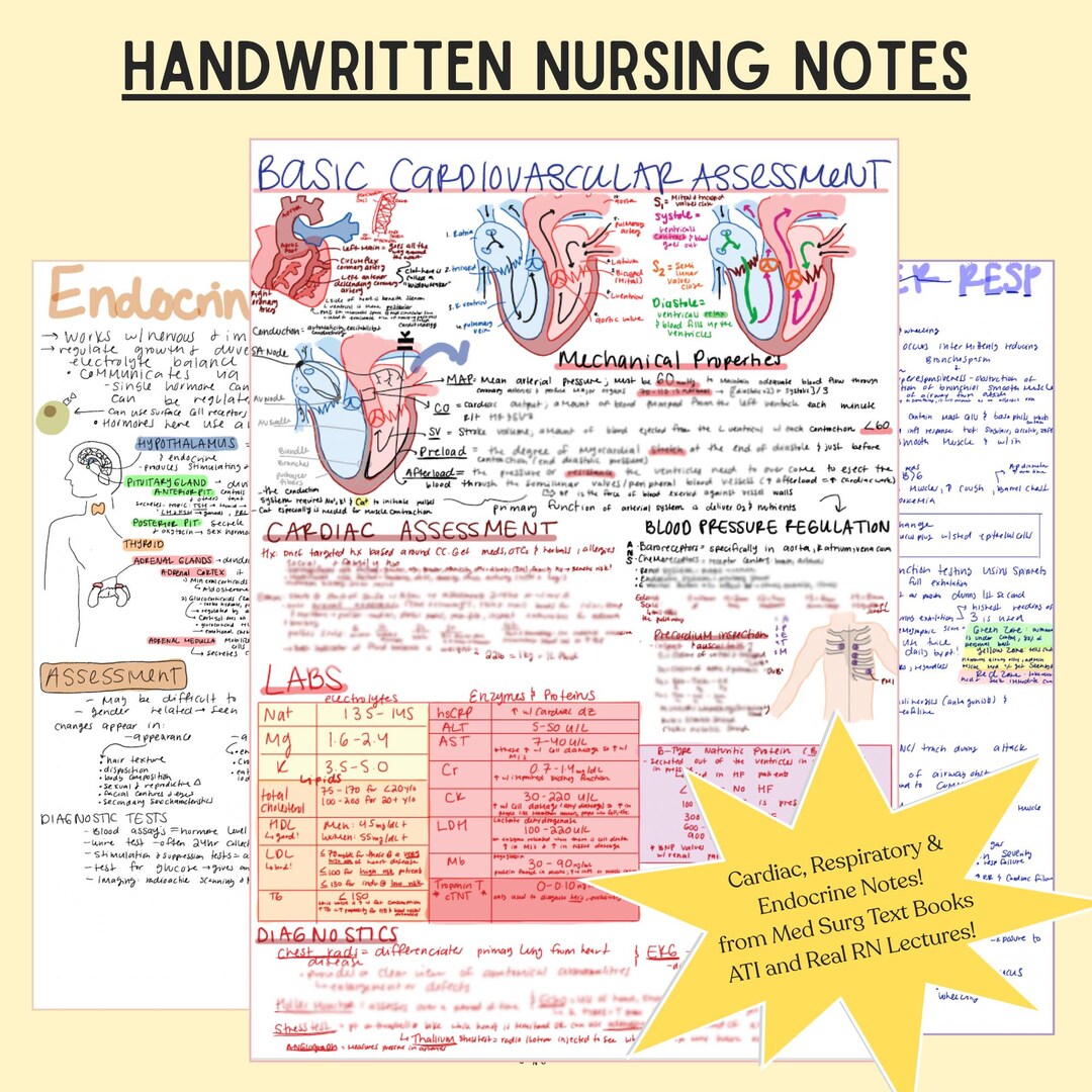 Nursing Study Guide Bundle: Cardiac, Respiratory, Endocrine ...