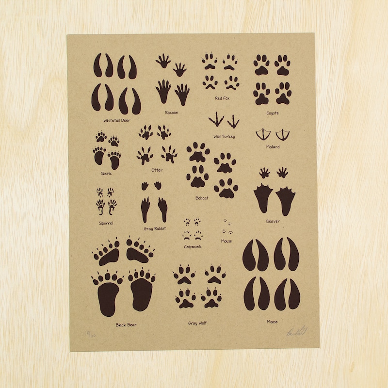 Animal Tracks - Etsy