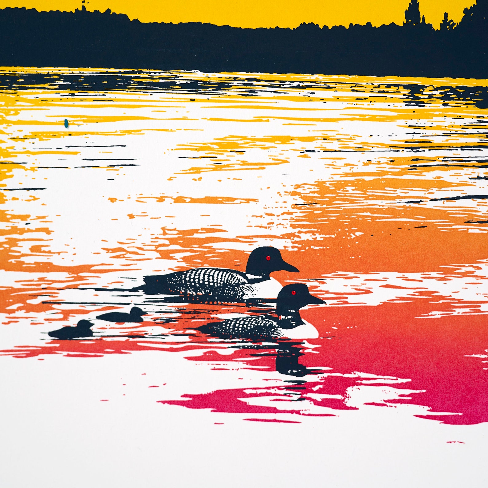 Loon Family Sunset - Etsy